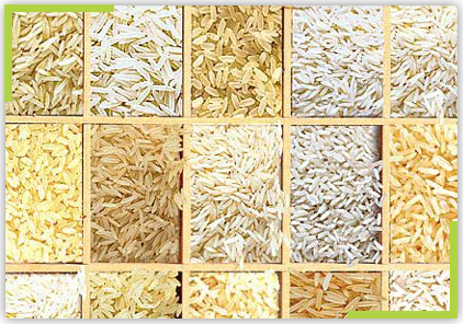Punjab Rice Mills & Cold Storage
